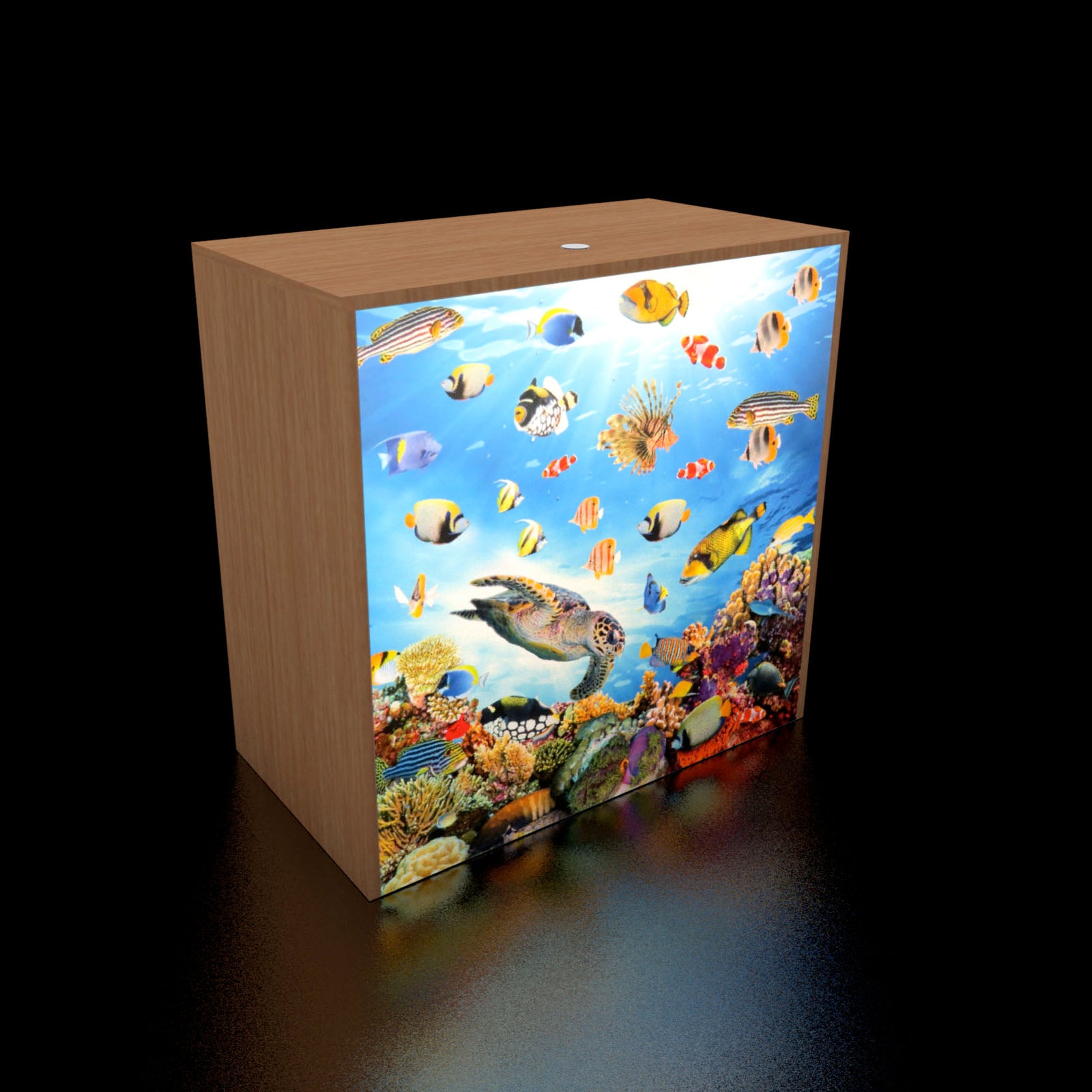 Nomadic Ideas – Nomadic Display